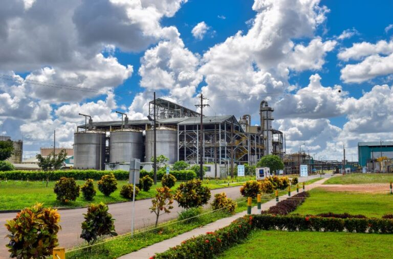 Bioenergy se liquidó pero aún debe 100 mil millones de pesos ...