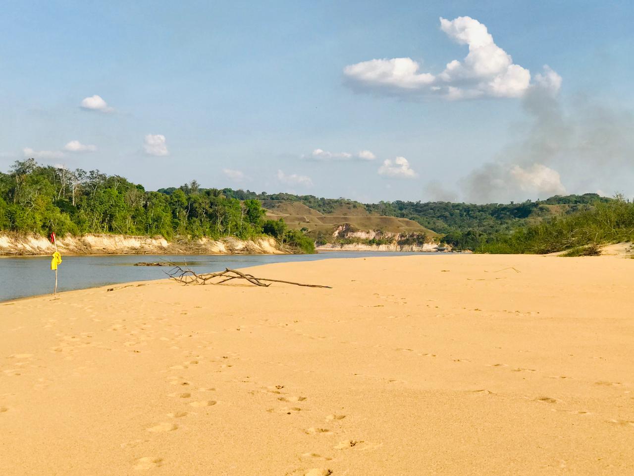 Puerto Gaitán, un paraíso natural bioseguro | Periódico del Meta