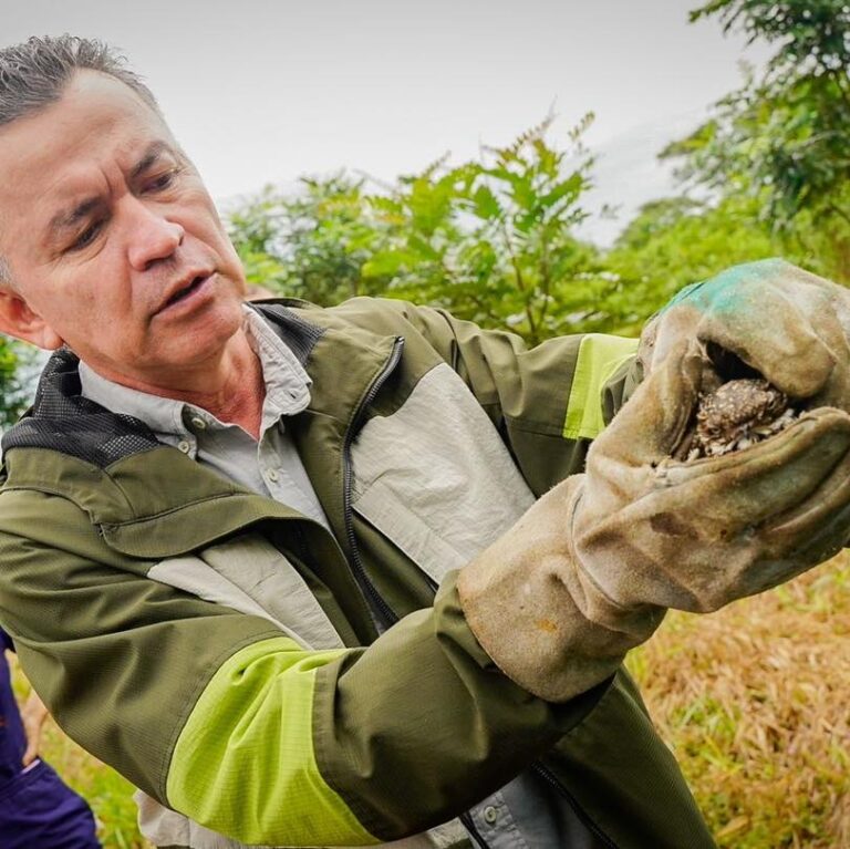 ‘Debemos pasar de PSA a negocios verdes, ese es el futuro’: Wilson López Bogotá | Periódico del Meta