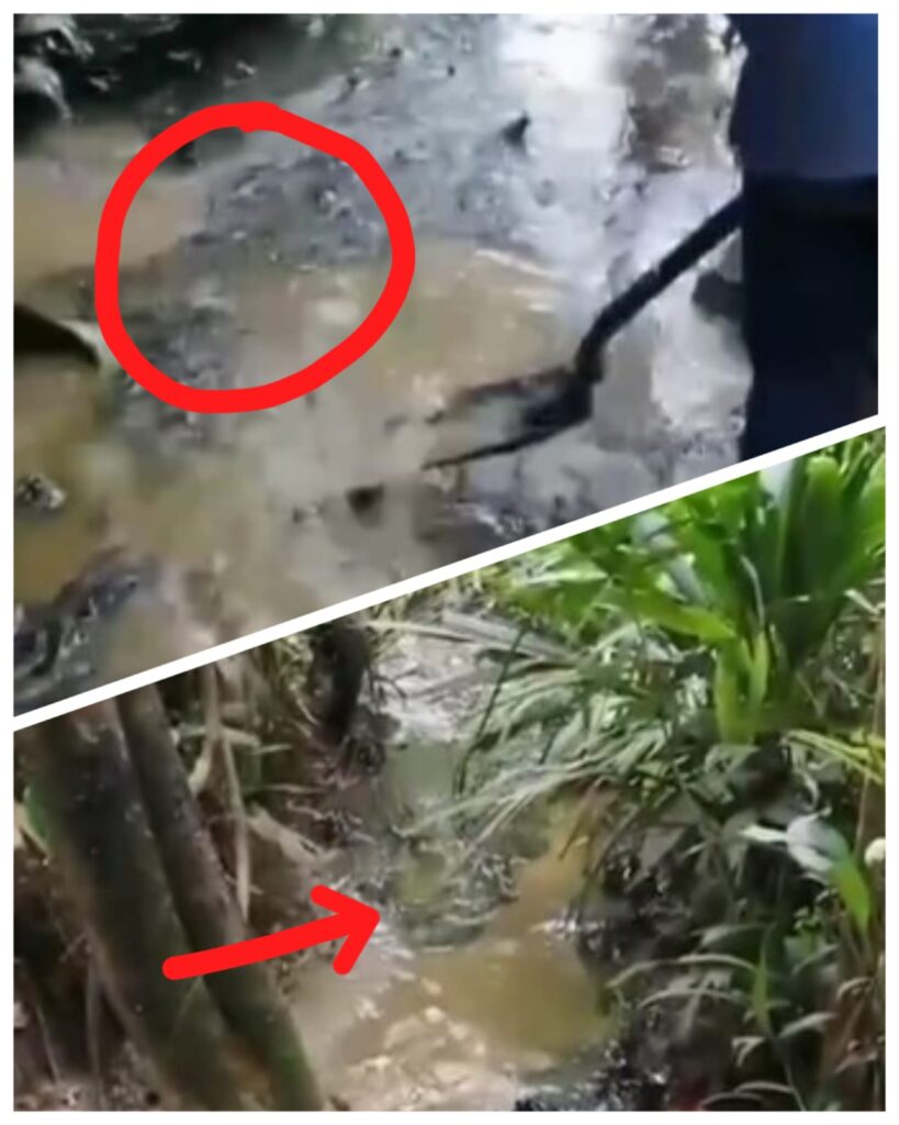 Emergencia ambiental en Campo Quifa, reportan comunidades en Rubiales ...