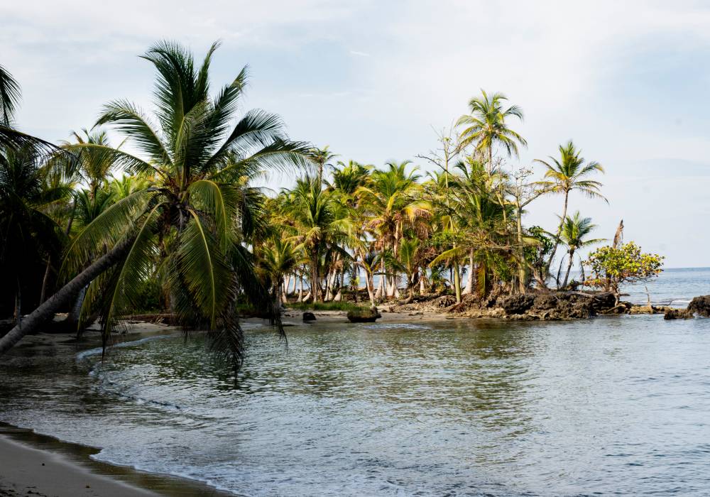 Destinos para vacaciones de fin de año en Colombia | Periódico del Meta